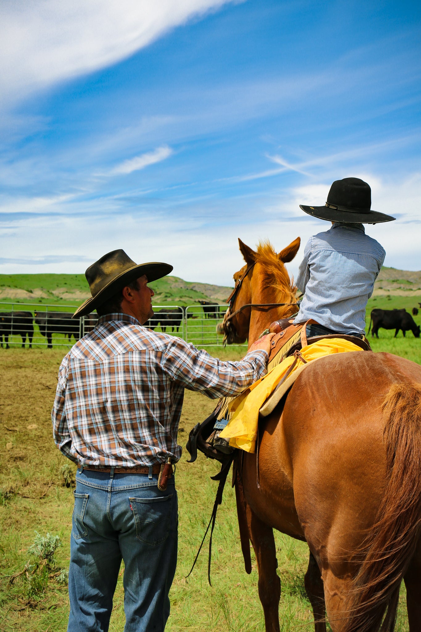 FAQ – S Ranch Meats