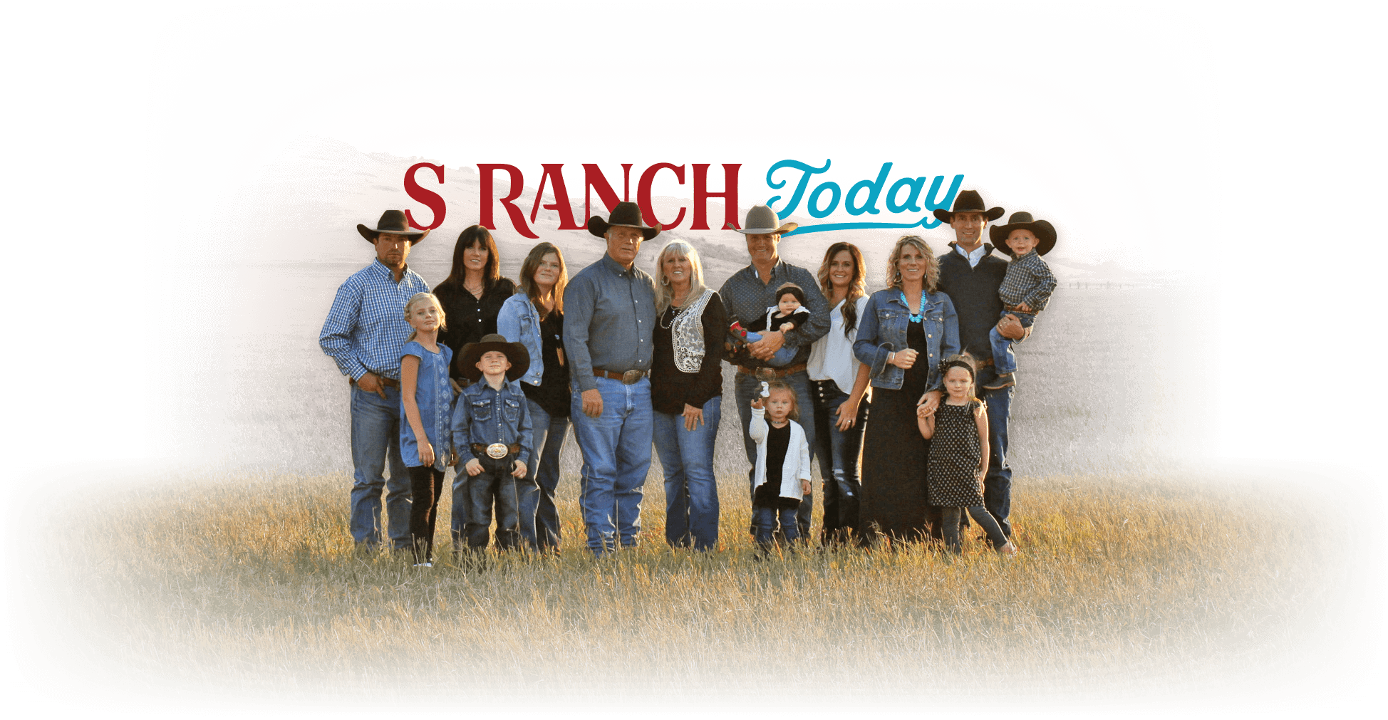 Buy Grass-Fed, Grain-Finished Beef Online – Free Shipping Over $175 – S ...