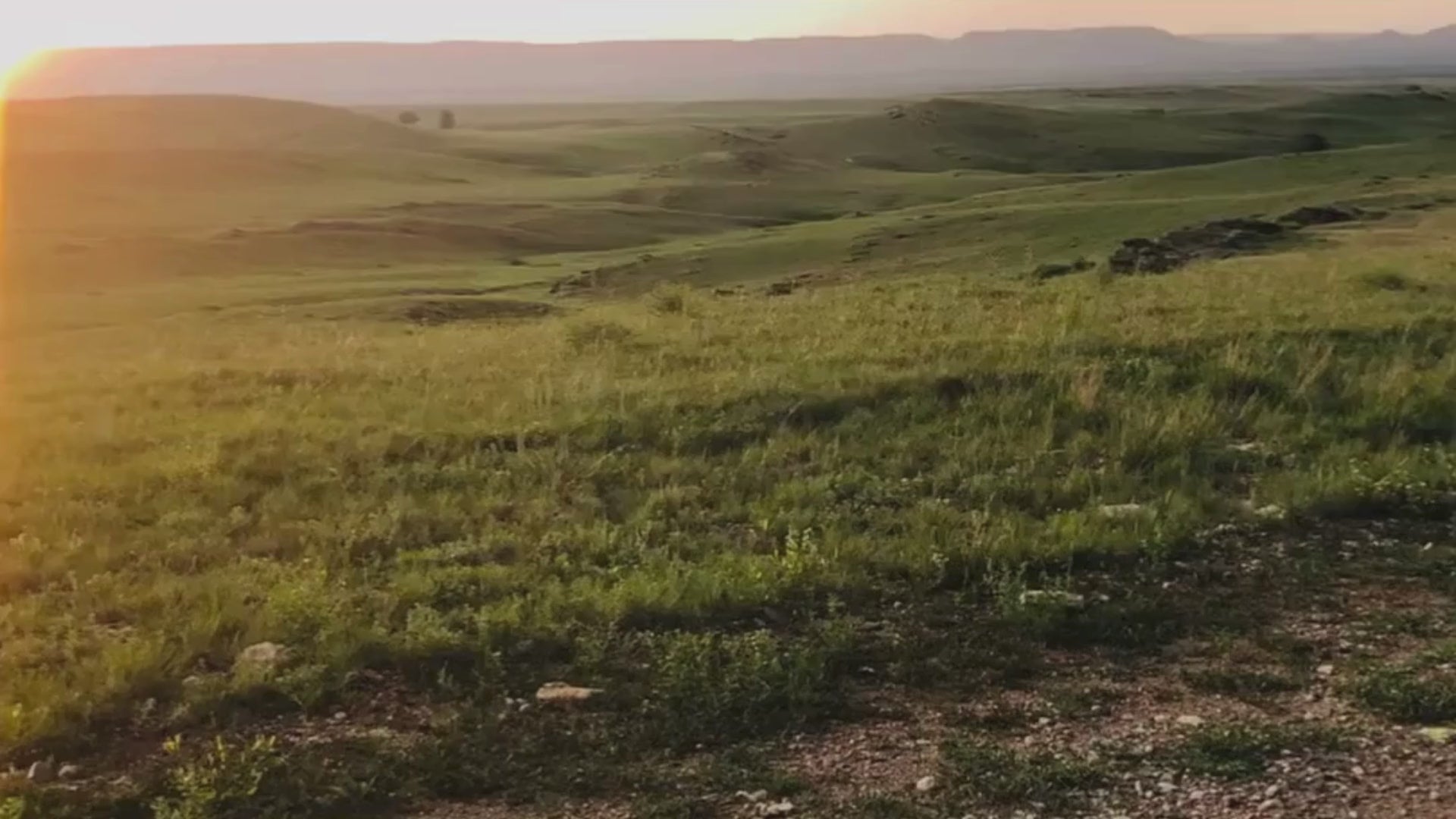 Buy Grass-Fed, Grain-Finished Beef Online – Free Shipping Over $175 – S ...